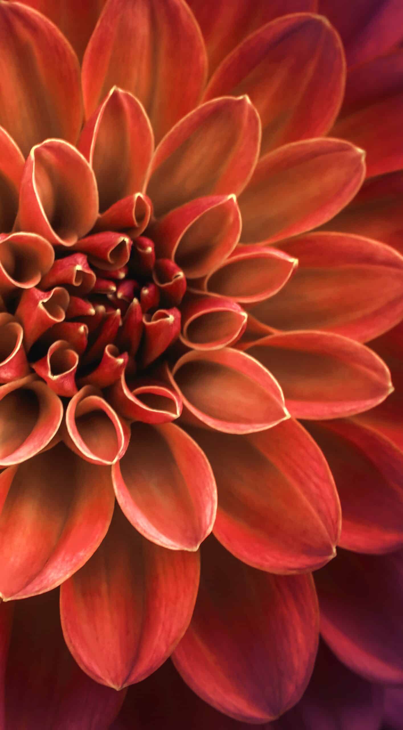 AutoRABIT Guard: Automated Data Classification Transforms Compliance into Control | AutoRABIT